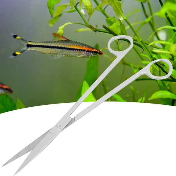 Aquatic Plant Scissors, Aquarium Scissors, Water Plants Scissors ...