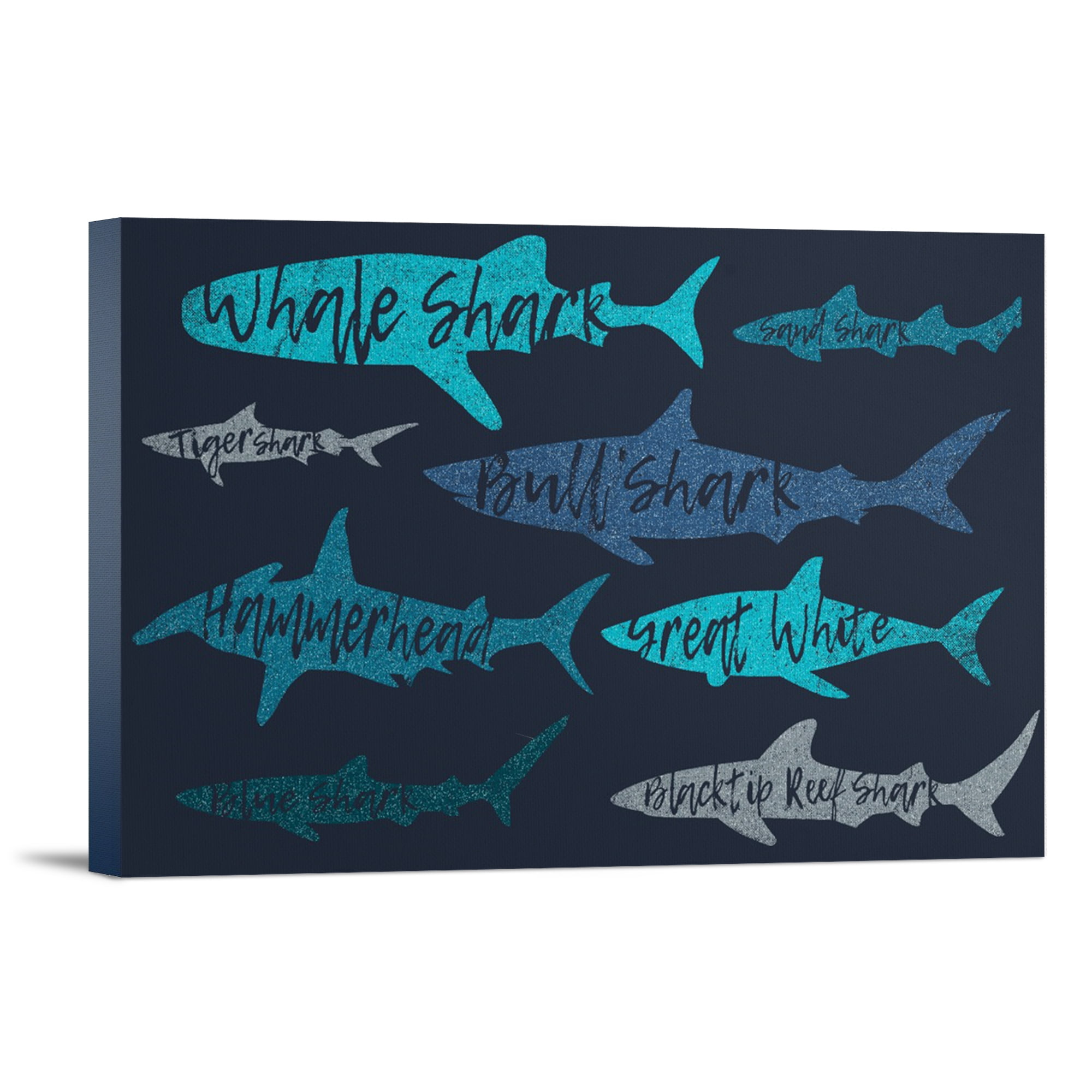 Sharks Pattern, Shark Names, Navy Background, (12x18 Wrapped Canvas ...