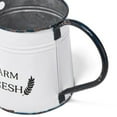 Imax Farm Fresh Large Decorative Pitcher Z17210 - Walmart.com