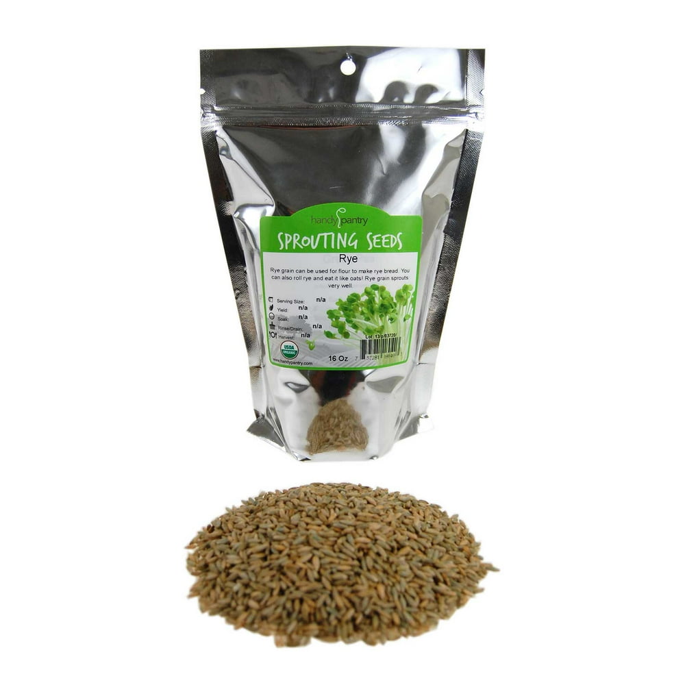 Organic Rye Grain Seeds - 1 Lb Re-Sealable Bag - Rye Seed / Grains for ...