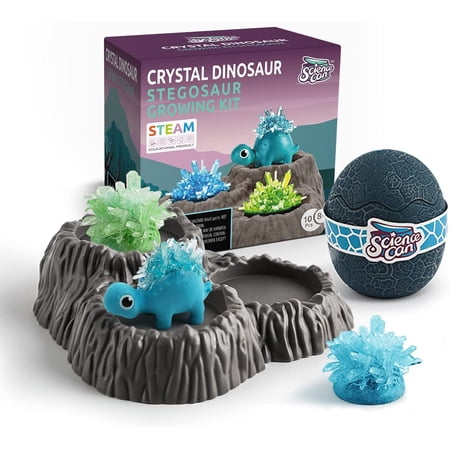 Crystal Growing Science Experimental Kit for Kids - 4 Vibrant Colored ...