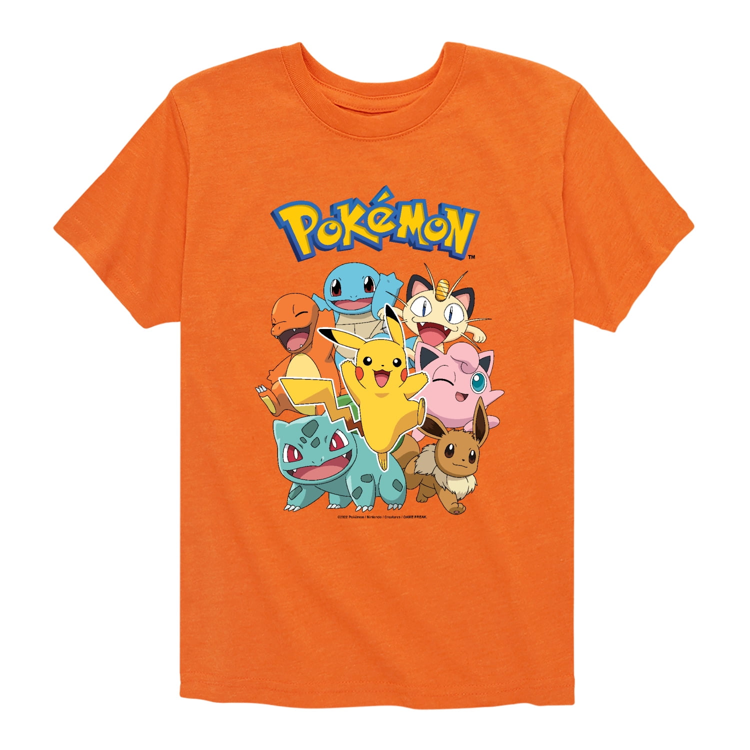 Pokémon - Pikachu and Friends - Youth Short Sleeve Graphic T- Shirt ...