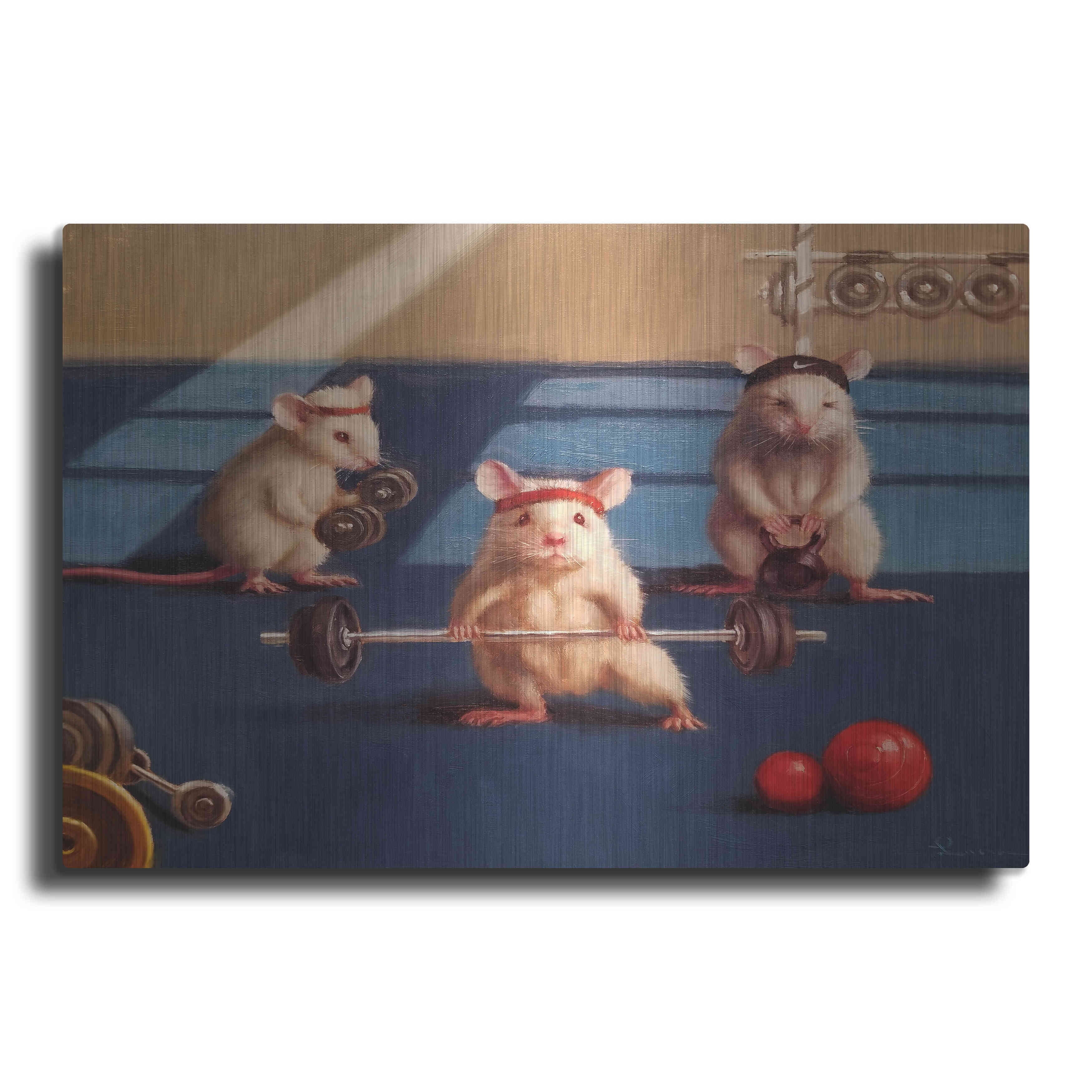 Luxe Metal Art 'Gym Rats' by Lucia Heffernan, Metal Wall Art, 24"x16 ...