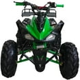 "X-Pro 125cc Four-Wheeler: Kids Quad ATV, Gas Powered with Automatic ...