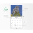 2024- 12 Month Calendar- Owl-12x12 by DaySpring - Walmart.com