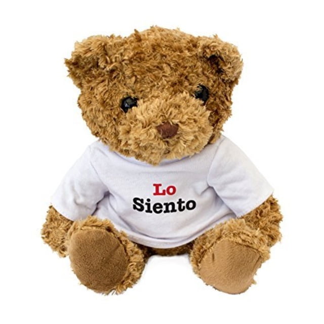 LO SIENTO Cute And Cuddly Teddy Bear Gift I Am Sorry In Spanish lo-siento-cute-and-cuddly-teddy-bear-gift-i-am-sorry-in-spanish