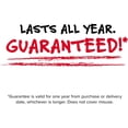 Wide Ruled 3-Subject Notebook, 150 Sheets, 8" x 10-1/2", with Study App ...