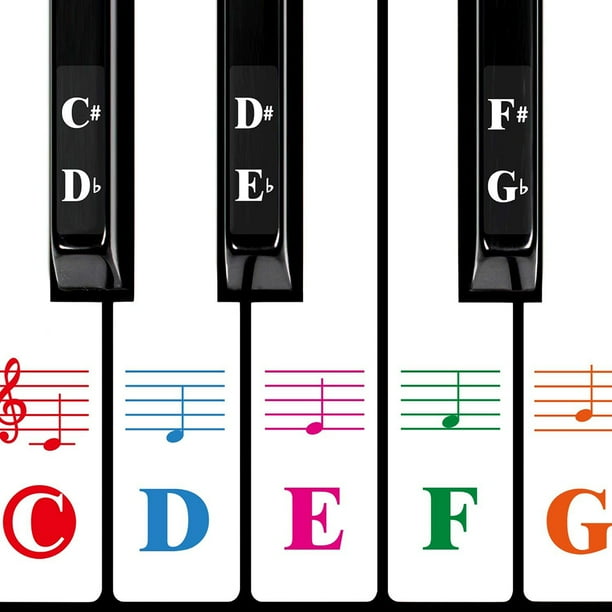 Piano Keyboard Stickers for 88 Key Multi-Color,Removable Large Bold ...