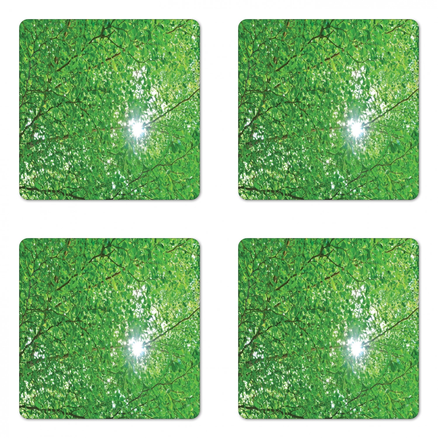 Forest Coaster Set of 4, Sun Through Tree Branch and Leaf Top Relaxing ...