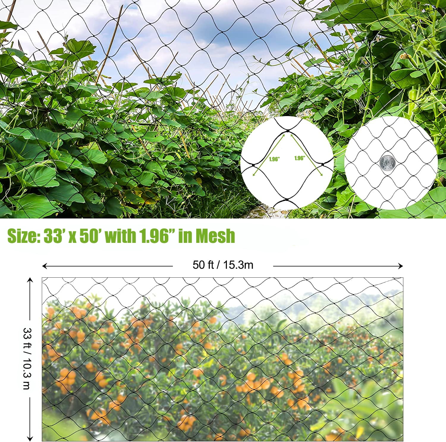 Square Foot Garden Nylon Netting | Fasci Garden