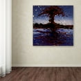 Trademark Fine Art "Lake Tree" Canvas Art by Roderick Stevens - Walmart.com