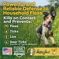 Happy Jack Flea and Tick Powder for Dogs, 5 oz Can - Walmart.com