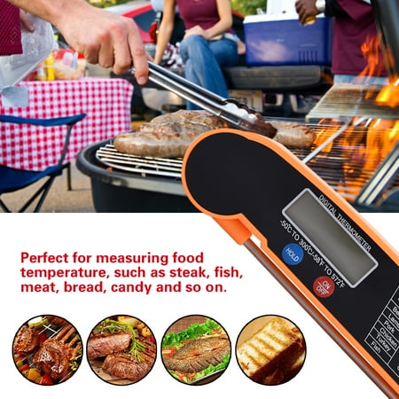 Digital BBQ , ABS Shell BBQ , Fish Meat - Walmart.ca