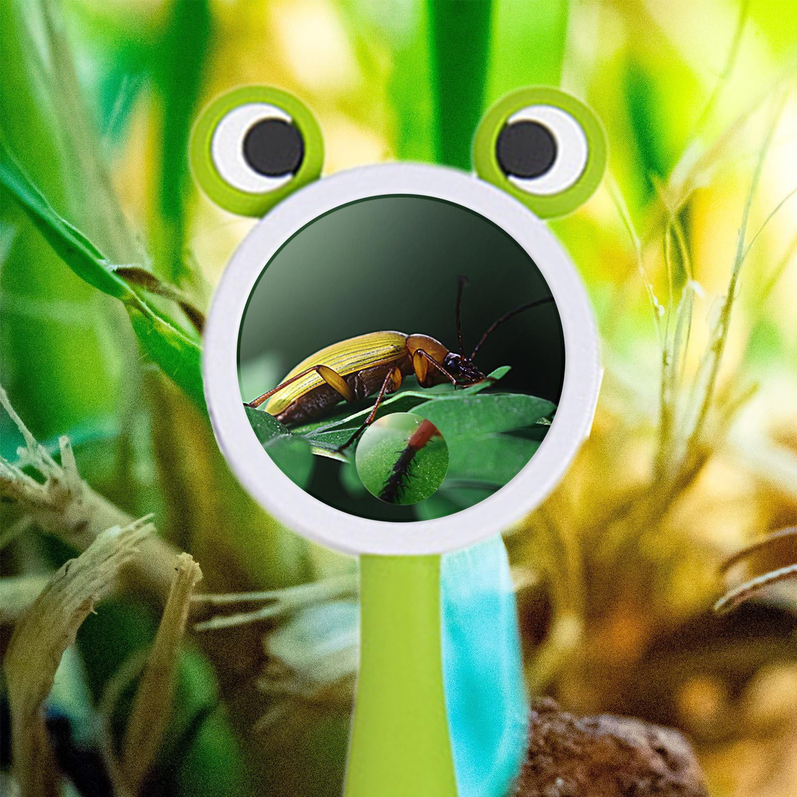 5x 10x Dibujos animados de mano Juguetes educativos portátiles Forma de ...