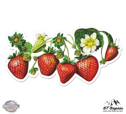 Strawberries - 3" Vinyl Sticker - For Car Laptop I-Pad Phone Helmet ...
