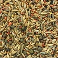 Whitetail Deer Food Plot Seed | Turnip Radish Clover Wheat Rye Oats Mix ...