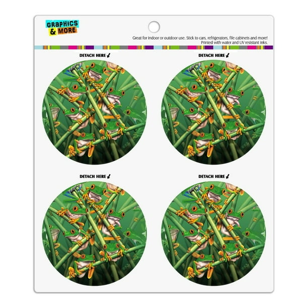 Red Eye Tree Frog Grouping Tropical Rainforest Refrigerator Fridge ...