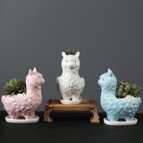 Cute Llama Succulent Planter Pot with Drainage Tray - Walmart.com