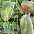 Plant Insect-proof Net Garden Insect Barrier Bird Net Plant Protect ...