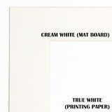 The Display Guys – Square Profile Picture Frame – Square Picture Frame ...