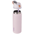 Owala FreeSip Stainless Steel Water Bottle, 32oz, Sugar Spice Pink ...