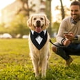 Stylish Adjustable Bow Tie Dog Collar for Wedding Parties and Formal ...