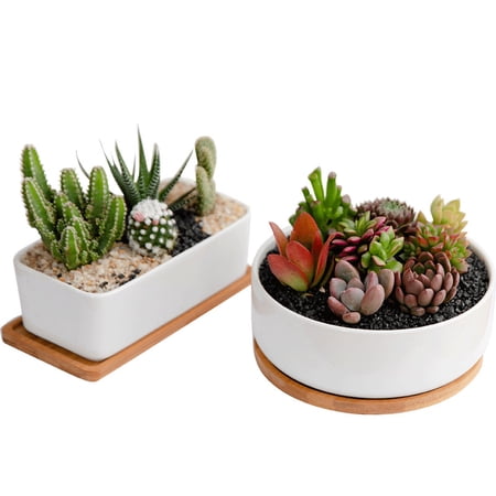 Simple White Porcelain Succulent Pot, 1 Piece, White | Walmart Canada