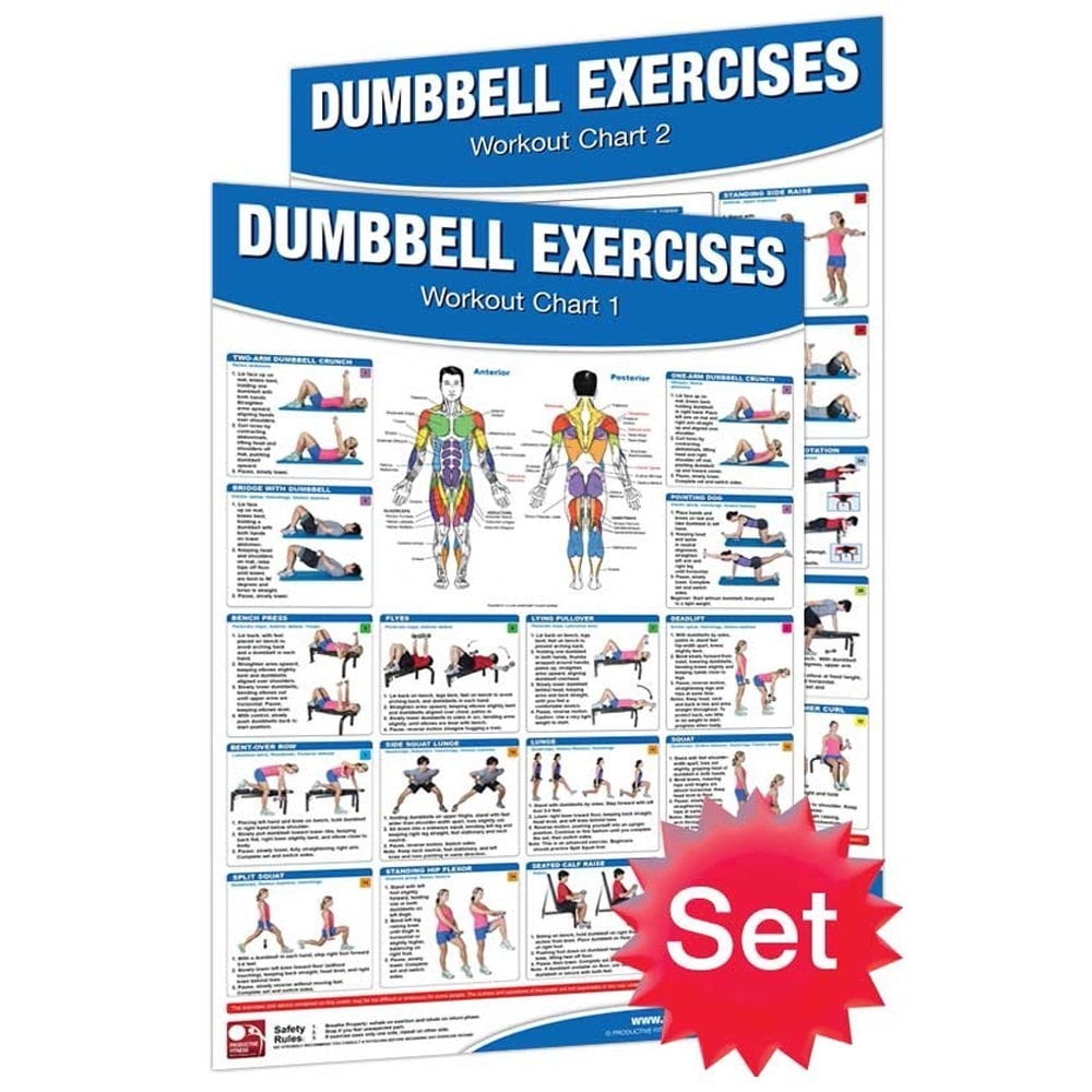 Weight Training Exercises Chart