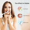 ROMYSE Electric Toothbrush Set,Sonic Electric Toothbrush, Power ...