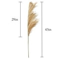 Set of 10 Artificial Pampas Grass Stems, 43 Inches Tall - Walmart.com