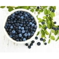 Food to Live Dried Blueberries 0.5 Pounds Vegan Kosher Antioxidant-Rich ...