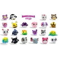 Squeezamals Mystery Black Box Collector Pack, 6 Exclusive Characters ...