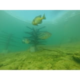 MossBack Fish Habitat Safe Haven Fish Habitat Structure for Lakes and ...