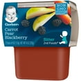 GERBER 2ND FOODS Carrot, Pear & Blackberry Puree Baby Food, 4 oz. Tubs ...