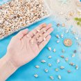 200G Spiral Shell Pendants Shell Shape Charms Pale Goldenrod 13~19x6 ...