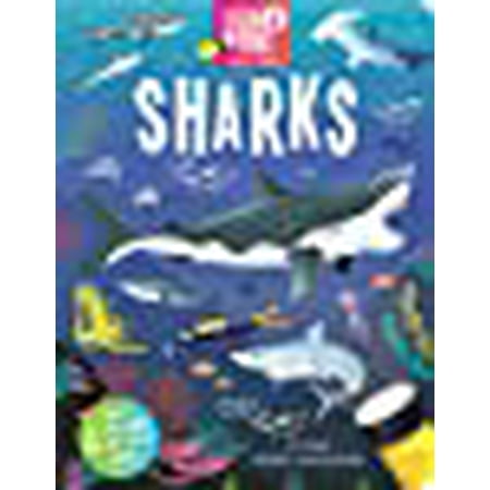 Seek and Find Sharks | Walmart Canada
