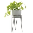 mDesign Metal Indoor/Outdoor Plant Stands with Hairpin Legs, Set of 3 ...