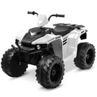 Razor Dirt Quad - 24V Electric 4-Wheeler ATV - Twist-Grip Variable ...