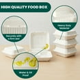 FPN 3-Compartment Paper Clamshell Boxes Compostable 9x9 – Eco-Friendly ...