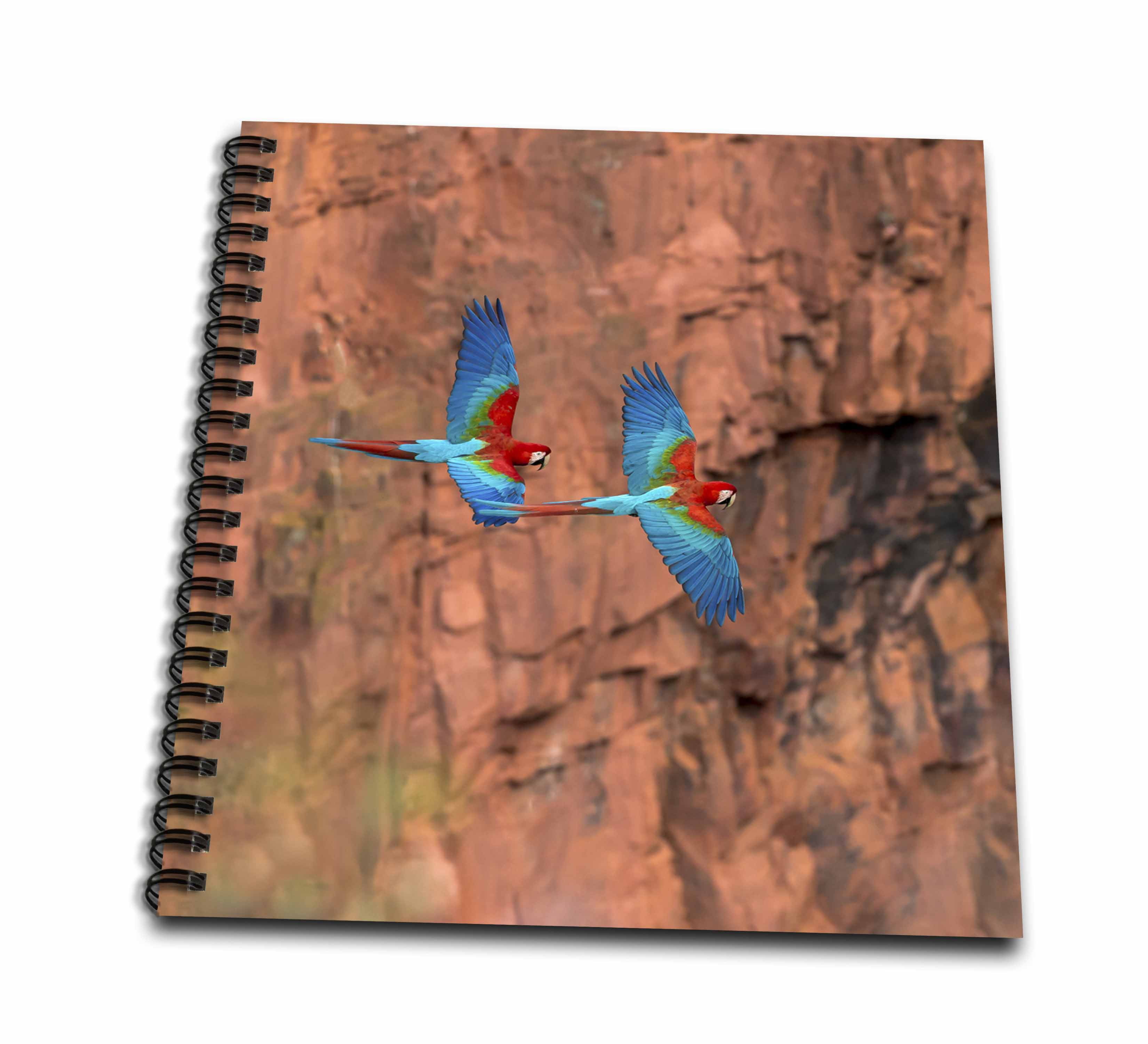 Brazil, Jardim. Red and green macaws flying in the sinkhole. Drawing ...