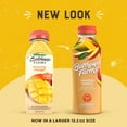 Bolthouse Farms Amazing Mango Fruit Juice Smoothie with Banana, Single ...