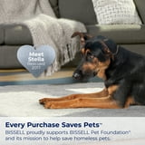 BISSELL PowerForce Pet Turbo XL Upright Deep Cleaner, for Carpet and ...