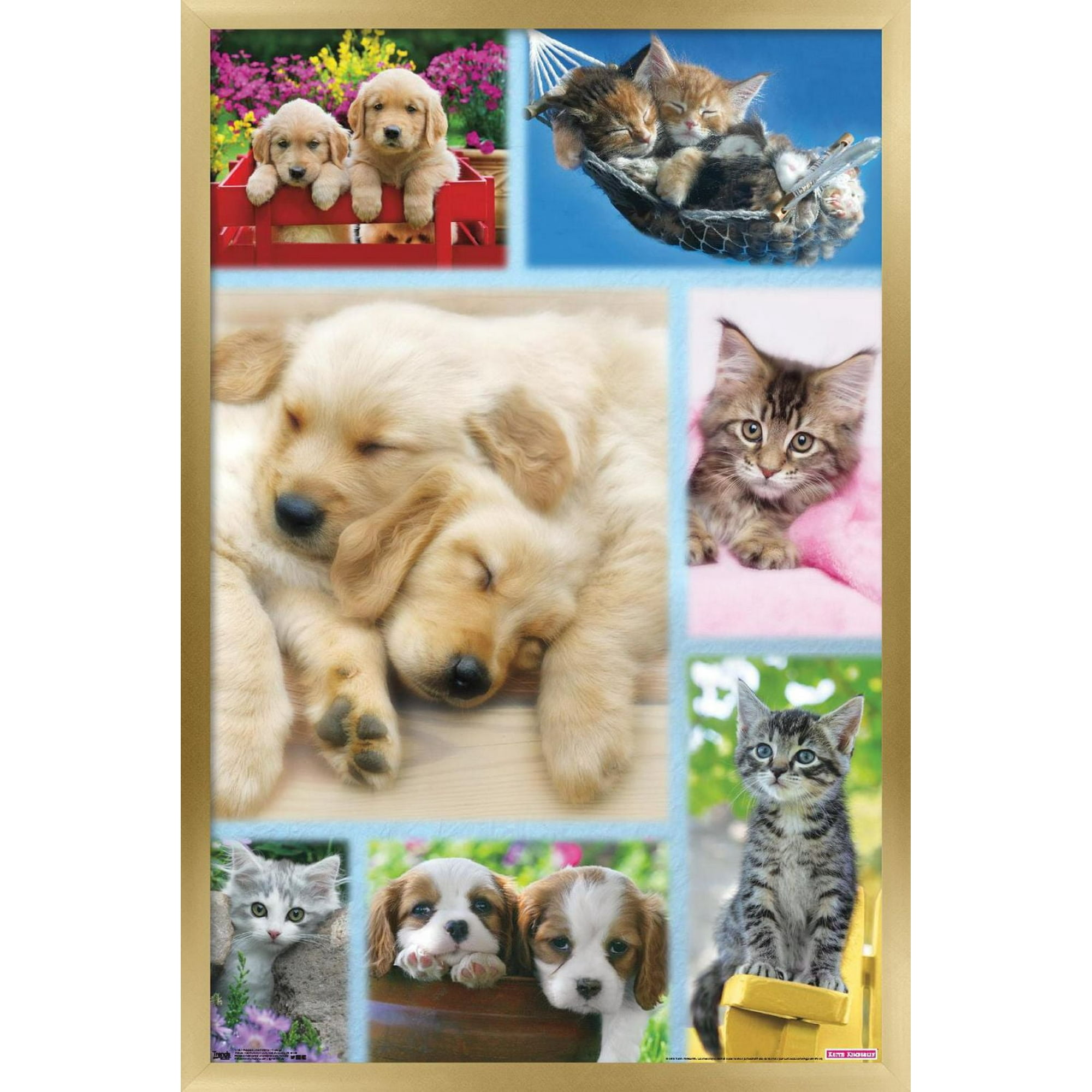 Click here for Trends International Keith Kimberlin - Puppies And... prices