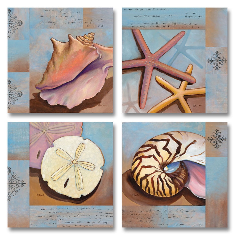 Sanibel Coast Conch Sand Dollar Starfish Seashells; Four 12x12 Poster ...