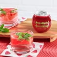 BuzzBallz Cocktails Watermelon Smash, 200 mL Can, ABV 15% - Walmart.com