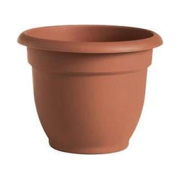 GrowOya Clay Planter - Walmart.com