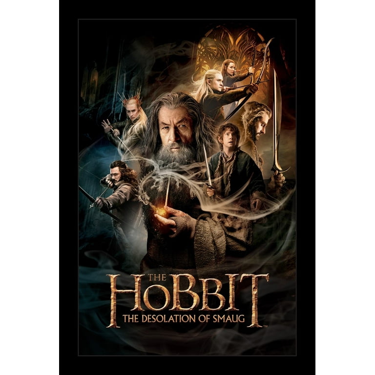 Desolation Of Smaug Banner