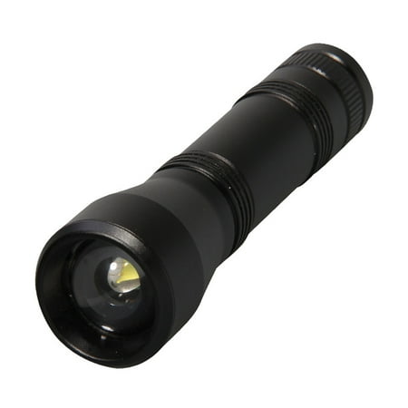 SICED Rechargeable Flashlight Black Light 5W Ultra-violet LED for ...