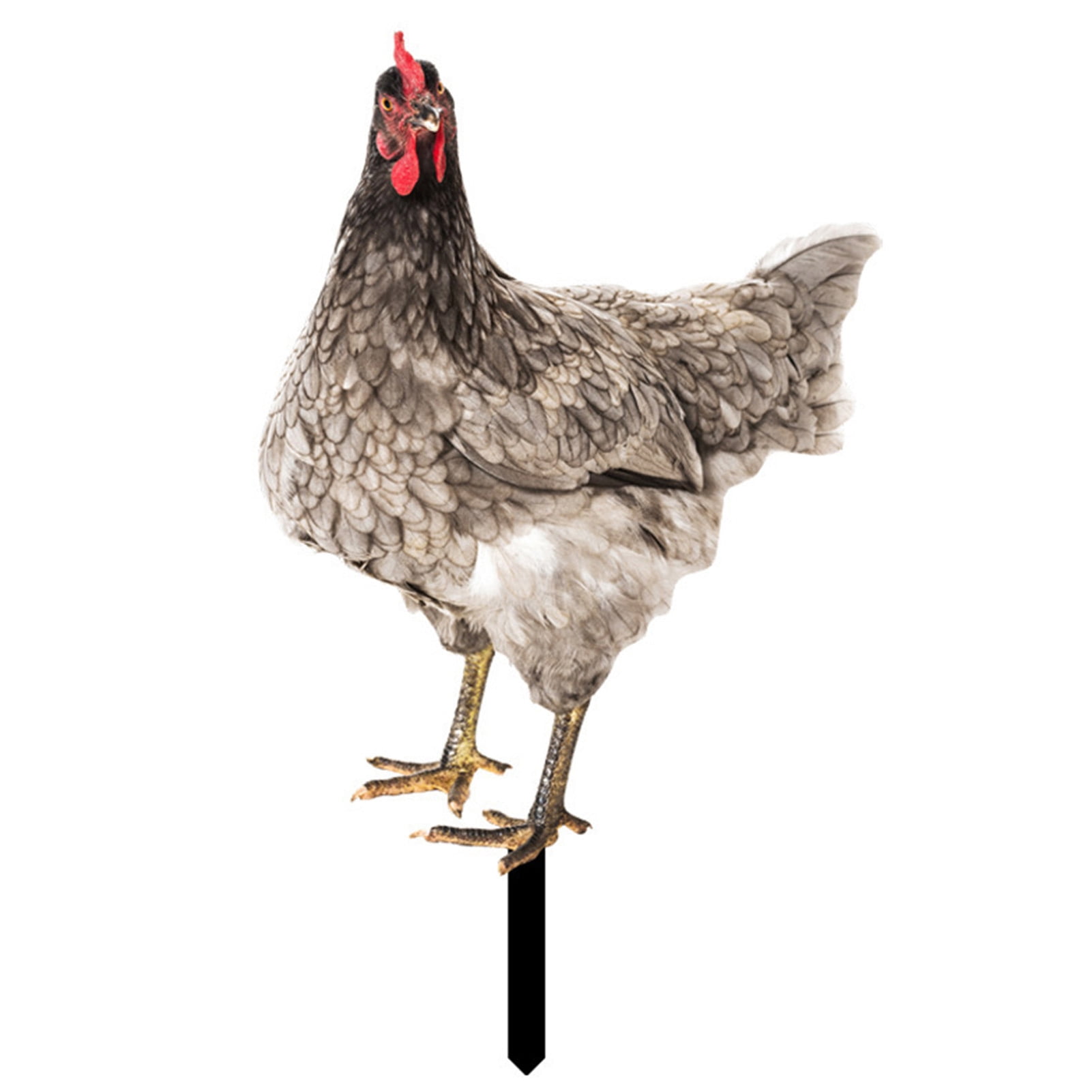 Rooster Decor Realistic Life-like Ornamental Double-sided Printing ...