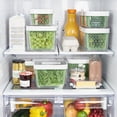 Produce Keeper Large Container Fresh Storage Airtight Vegetable and ...